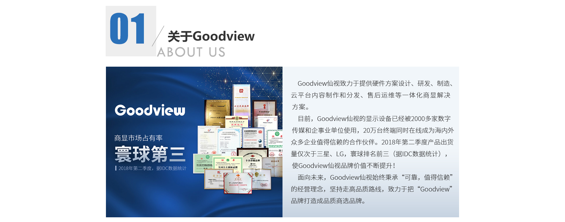 Goodview京东自营官方旗舰店 - 京东品牌形象