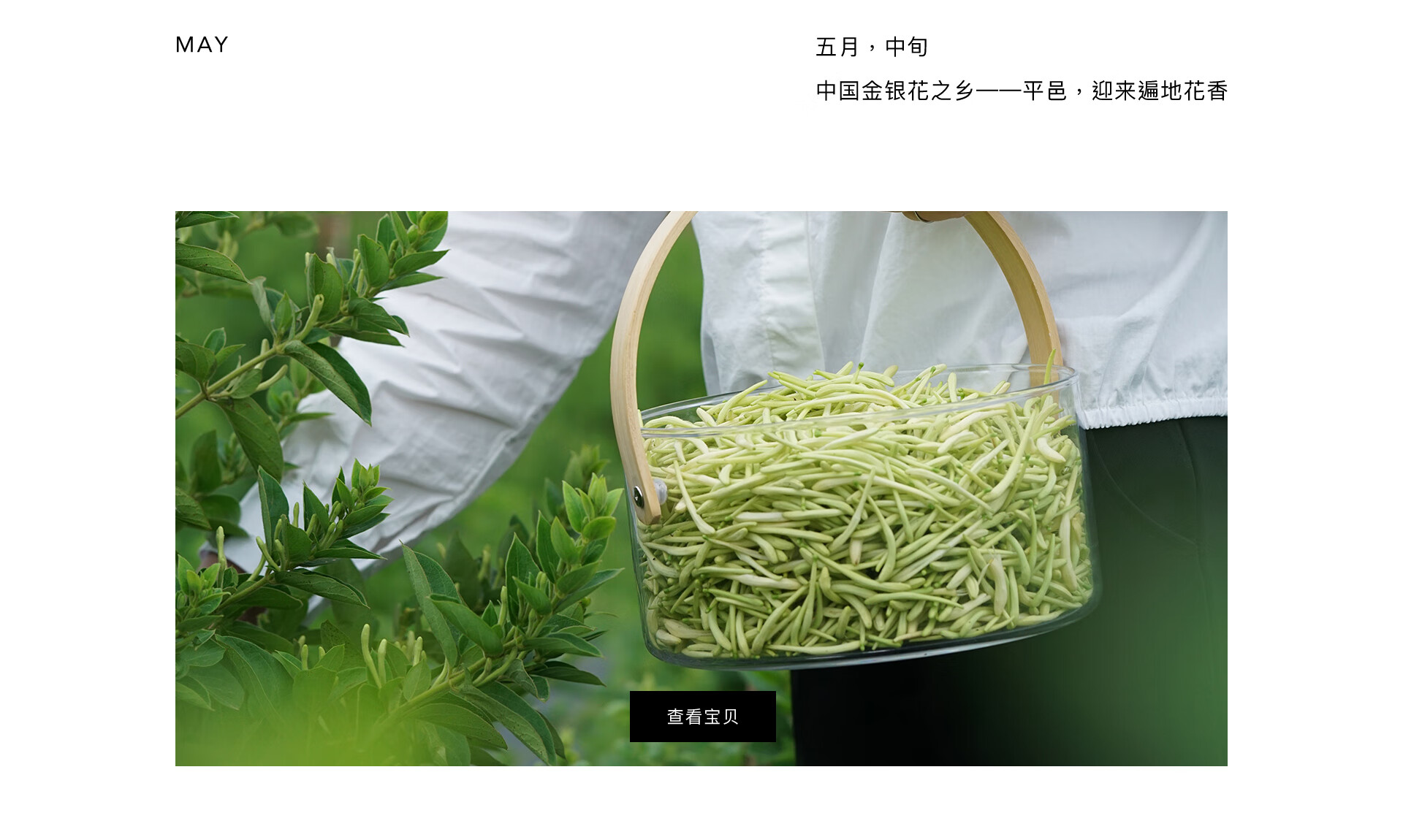 be u tea官方旗舰店 - 京东