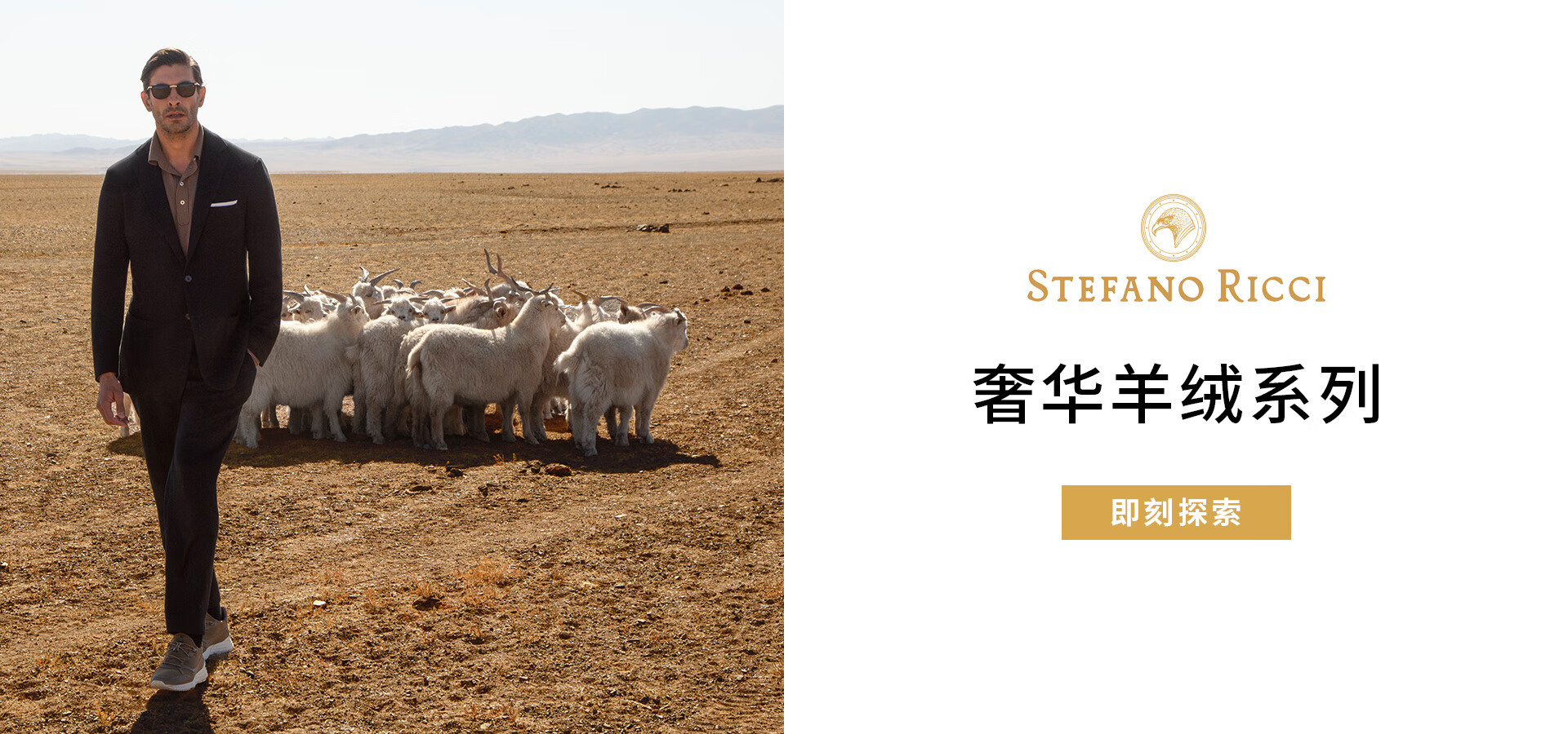 Stefano Ricci 官方旗舰店 - 京东