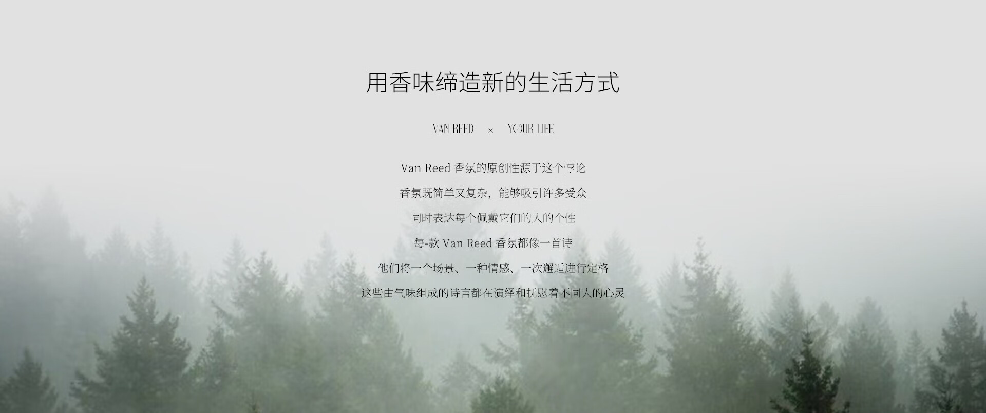 VAN REED京东自营旗舰店 - 京东