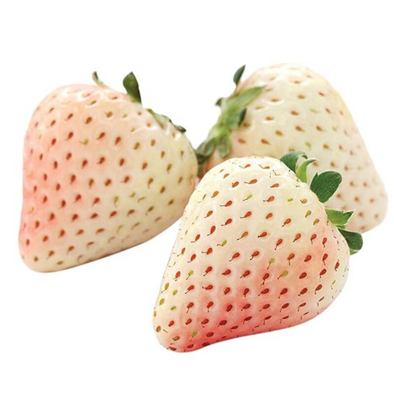 8401ea213507737f.jpg (800×800)-花瓣网