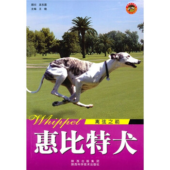世界名犬：惠比特犬（离弦之箭）