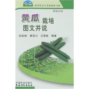 黄瓜栽培图文并说
