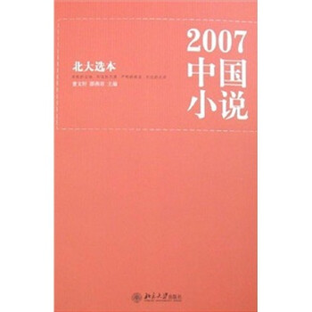 北大选本：2007中国小说