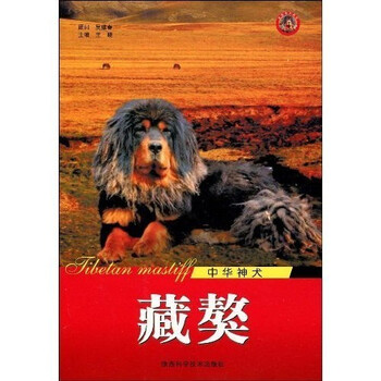 中华神犬：藏獒