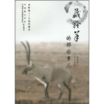 藏羚羊的那些事儿