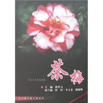 茶梅