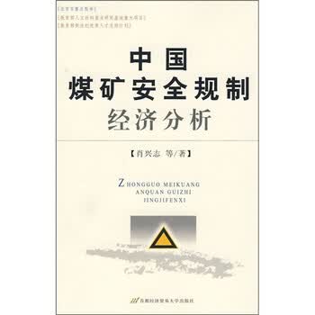 中国煤矿安全规制经济分析