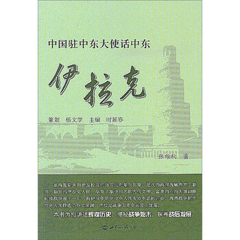 中国驻中东大使话中东：伊拉克
