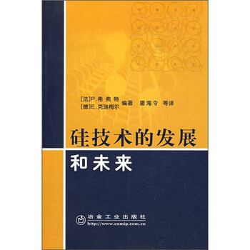 正版书籍 硅技术的发展和未来9787502445362