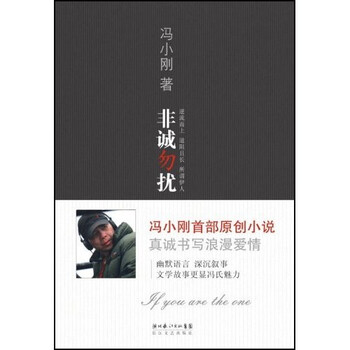 正版书籍 非诚勿扰 专著 冯小刚著 fei cheng wu rao9787535438621
