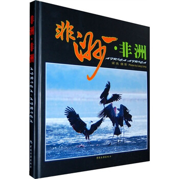 {正版新书}非洲·非洲9787503238536