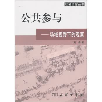 公共参与：场域视野下的观察