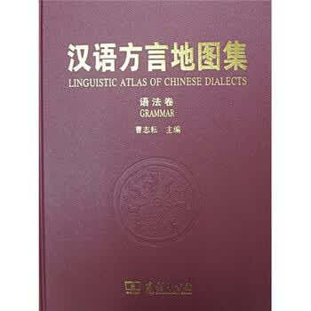 汉语方言地图集:语法卷