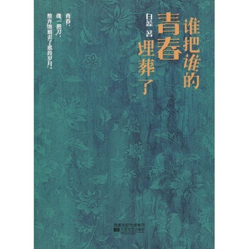 谁把谁的青春埋葬了9787539935904江苏文艺