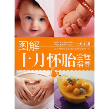 正版书籍 图解十月怀胎全程指导9787543940291