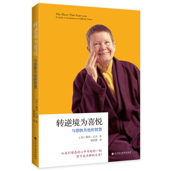 转逆境为喜悦：与恐惧共处的智慧