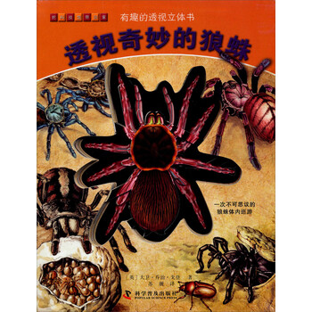 有趣的透视立体书·有趣的透视立体书：透视奇妙的狼蛛