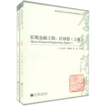 宏观金融工程：区域卷（套装上下册）