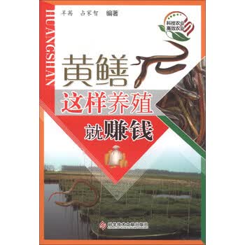 黄鳝这样养殖就赚钱