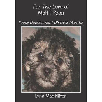 For The Love of Malt-I-Poos: Puppy Developme...
