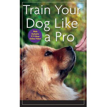 Train Your Dog Like a Pro