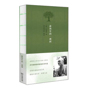 森林里的一棵树
