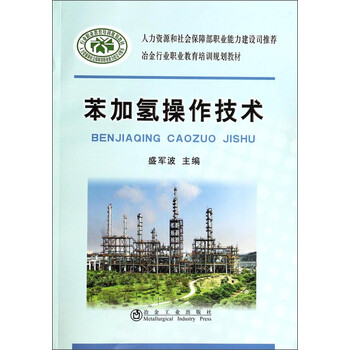 苯加氢操作技术