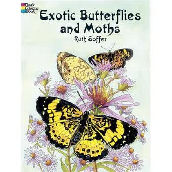Exotic Butterflies and Moths Coloring Book