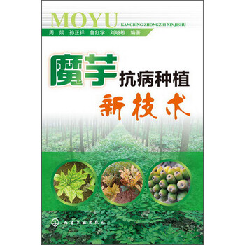 魔芋抗病种植新技术（实用、超级畅销）