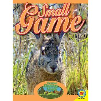 【】Small Game