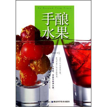包邮正版手酿水果9787535256485
