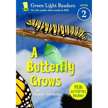 【】A Butterfly Grows