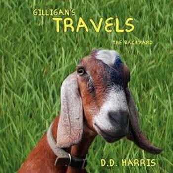 【】Gilligan's Travels: The Backyard