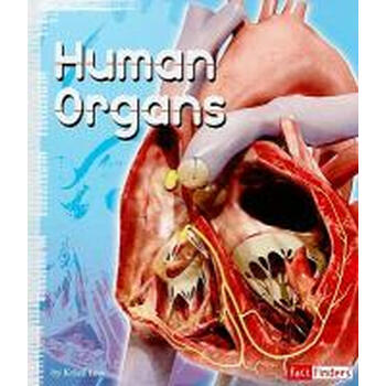 【】Human Organs