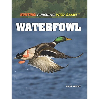 【】Waterfowl