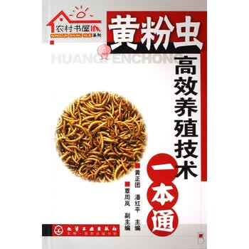 黄粉虫高效养殖技术一本通/农村书屋系列
