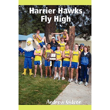 【】Harrier Hawks Fly High