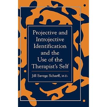 【】Projective and Introjectiv