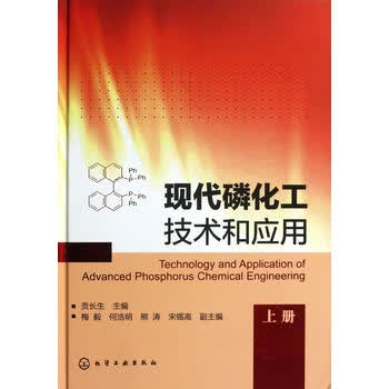 现代磷化工技术和应用(上)(精)