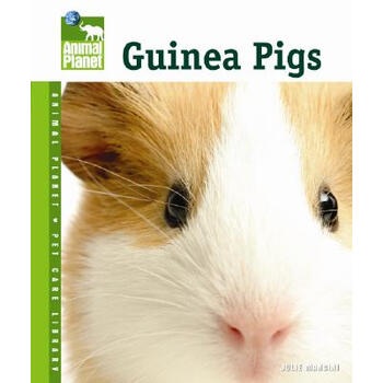 【】Guinea Pigs