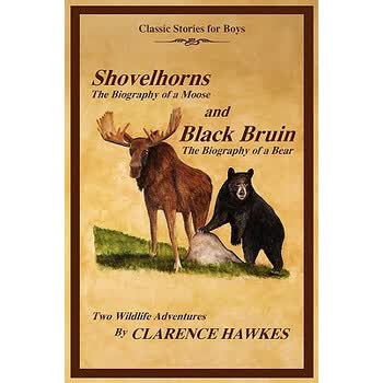 【】Classic Stories for Boys,