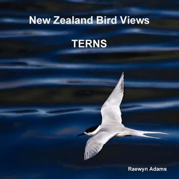 【】New Zealand Bird Views: Terns