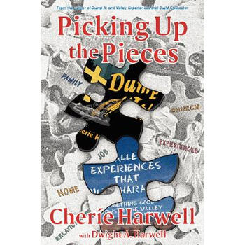 【】Picking Up the Pieces: Dump It!