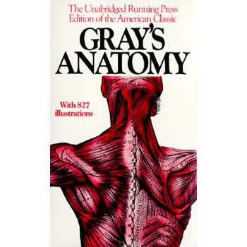 【】Gray's Anatomy