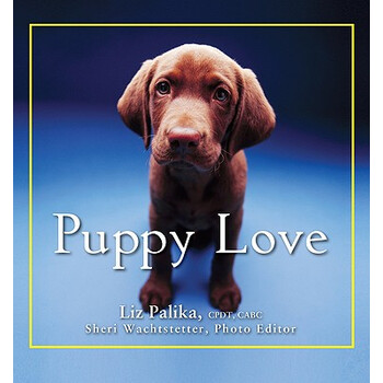 【】Puppy Love