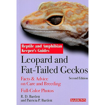【】Leopard and Fat-Tailed Geckos