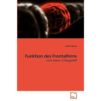 【】Funktion Des Frontalhirns