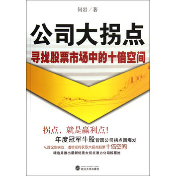 公司大拐点(寻找股票市场中的十倍空间)