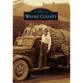 【】Wayne County